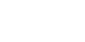 Deeeplabs Pte Ltd - Your Digital Transformation Partner